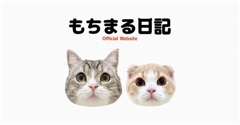 【緊急】もちまる日記炎上の裏側！216万人が震えた衝撃の真実とは？猫好き必見 トレンドラボ