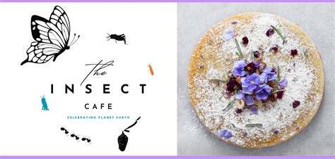 Insect Logo Insect Logo Designs Make Your Own Insect Logo