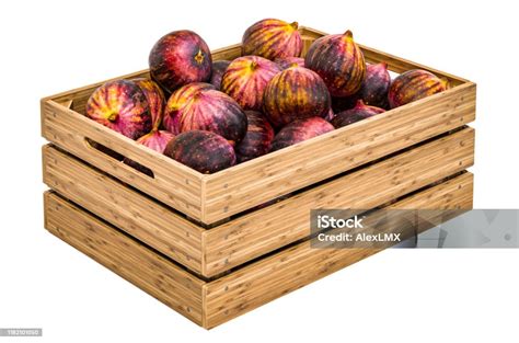 나무 상자의 일반적인 무화과 흰색 배경에 고립 된 3d 렌더링 3차원 형태에 대한 스톡 사진 및 기타 이미지 3차원 형태