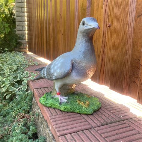 ᐉ Фігура садова Голуб 22х15х25 см Сірий • Краща ціна в Києві Україні • Купити в Епіцентр
