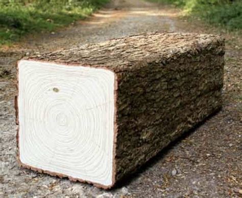Realistic Oak Log R Realistic Minecraft