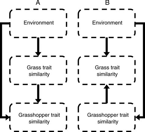 Hypothesized Relationships Between Environmental Gradients And