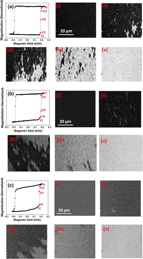 Hysteresis Loops And Corresponding Domain Images Represented As Iv