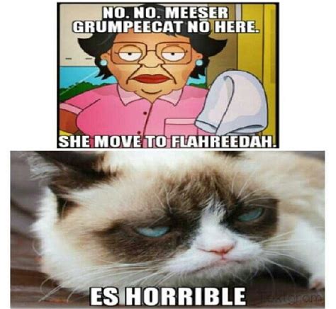 Pin By Jennifer Heeter On Grumpy Cat Grumpy Cat Humor Grumpy Cat