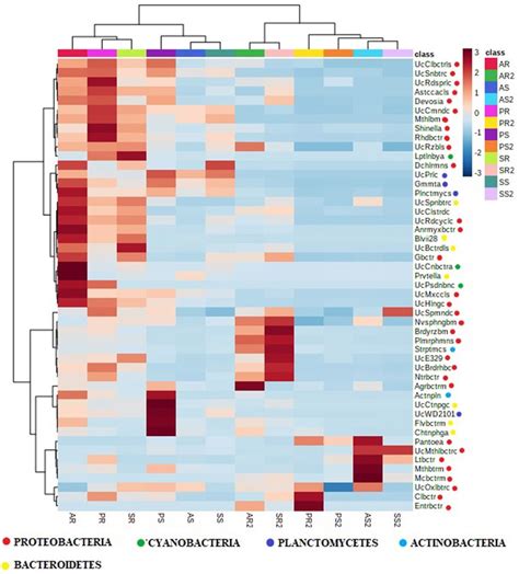 Heatmap Of Log Absolute Abundance Of Top 50 Genera Ranked By T Tests To Download Scientific
