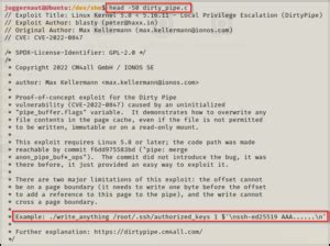 Kernel Exploits Linux Privilege Escalation