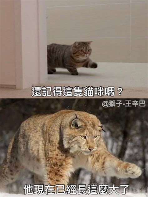 兩個禮拜以後 個人看板板 Dcard