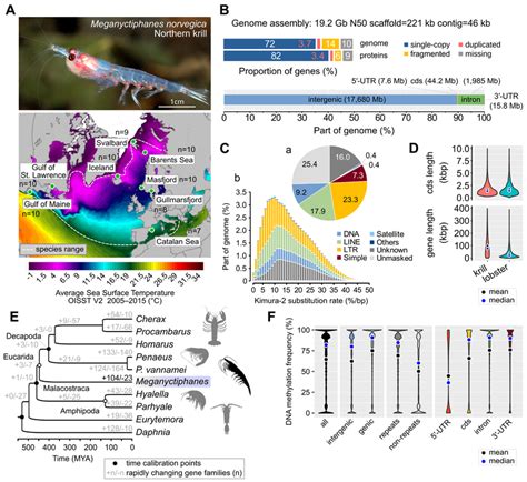 Sampling Genome Assembly And Genome Analyses Of The Northern Krill Download Scientific Diagram
