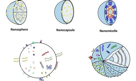 1 Schematic Illustration Of Nanoparticles Used For Gene Therapy