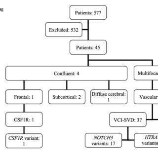 Classification Of Patients Based On MRI Brain Diagnostic Algorithm Download Scientific