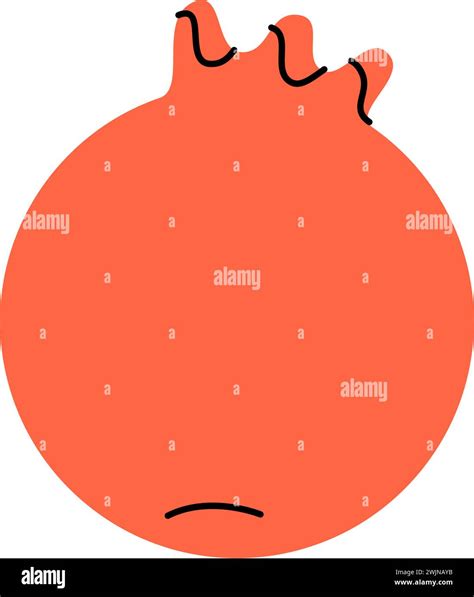 Pomegranate Pomegranate Fruit Vector Illustration Stock Vector Image