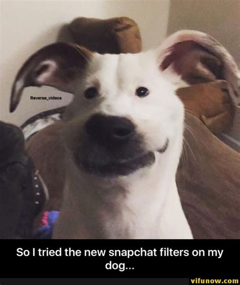 28 Funny Memes Of Todays Funnymemes Funnypictures Humor