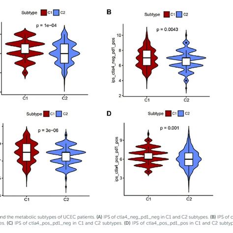 Verification Of The Predictive Value Of Gene Signature In The 2