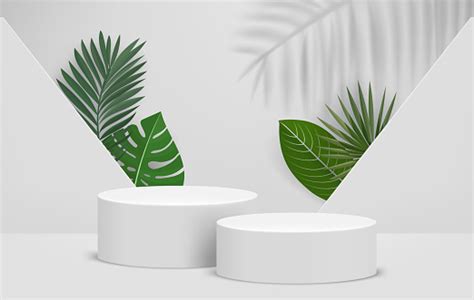 두 개의 연단과 녹색 잎이 있는 밝은 인테리어 친환경 제품 진열장 템플릿입니다 3d 벡터 배경 0명에 대한 스톡 벡터 아트 및