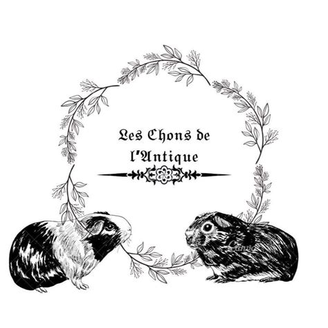 Les Chons De Lantique
