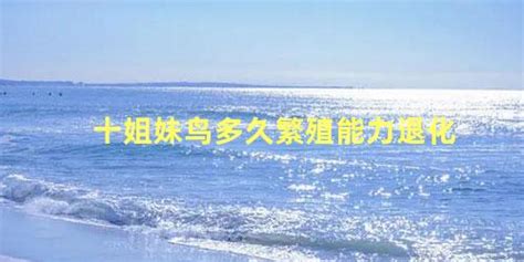 十姐妹鸟多久繁殖一次十姐妹鸟多久繁殖一窝 鸟基吧