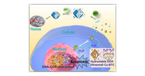 Adaptive Size Evolution Of An Mofs In Mof Nanovehicle For Enhanced