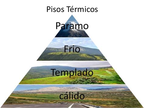 El Mundo De Los Pisos Termicos DESCUBRAMOS JUNTOS NUESTRO MUNDO