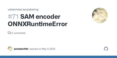 SAM Encoder ONNXRuntimeError Issue 71 Vietanhdev Anylabeling GitHub