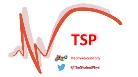 TSP ECG The Babe Physiologist