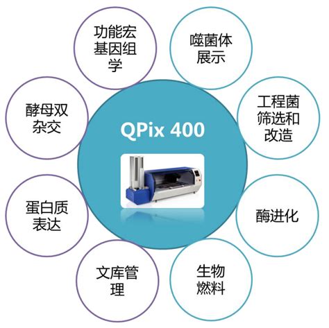 QPix 400 系统在噬菌体展示中的应用 知乎