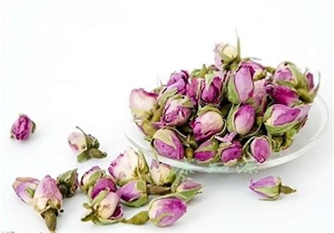 رفع سردرد میگرنی یبوست و مشکلات معده با این گیاه