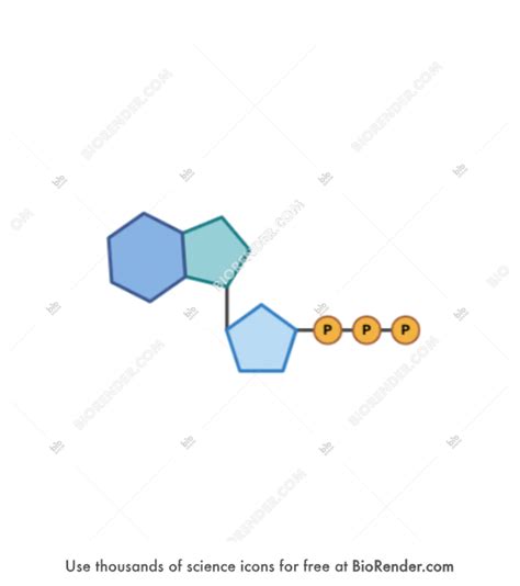 Free Biochemistry Icons Symbols And Images Biorender