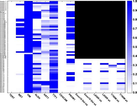 Molecular Profiling Of Single Circulating Tumor Cells From Lung Cancer