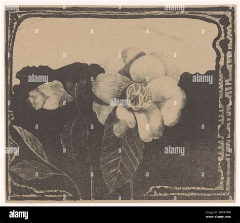 Camelia Left A Flower In Button Samuel Jessurun De Mesquita 1920