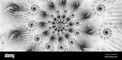 Spiral Banner Computer Generated Abstract Fractal Intensity Map