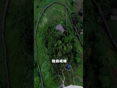 您知道貴州大山發現億萬年前的大白菜嗎真是太神奇了 旅行 旅行推薦官 旅行大玩家 旅行推薦官 旅行大玩家 大美中國 旅遊景點