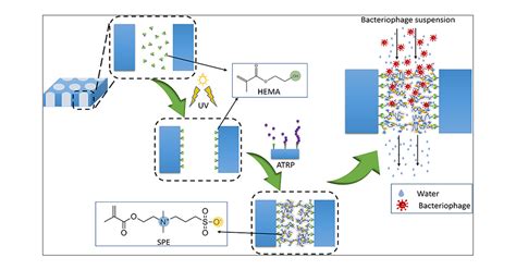 Microporous Polyethersulfone Membranes Grafted With Zwitterionic