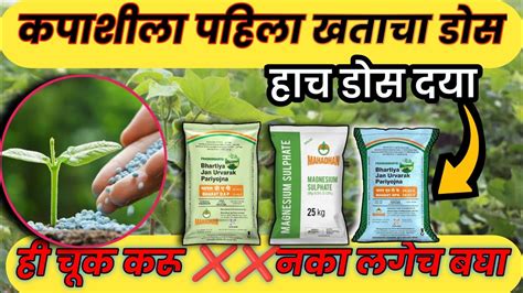 कपाशीला पहिला खताचा डोस Akshaykale Youtube