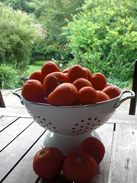 Los Antojos De Miss Mary Salsa De Tomate En Conserva