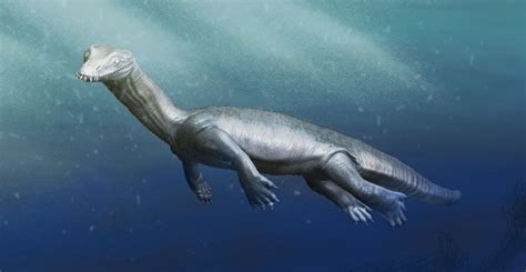 Nothosaurus 3d Render By Dragonartist15 On Deviantart