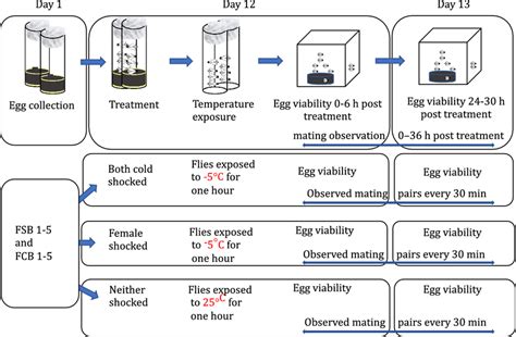 Assay Of Egg Viability And Mating Frequency Download Scientific Diagram