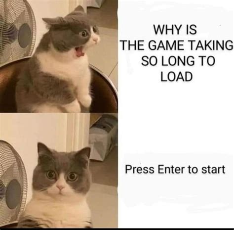 29 Purrfect Cat Memes For Grumpy Cats On Monday Morning