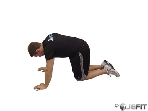 Cat Stretch Exercise Database Jefit Best Android And Iphone