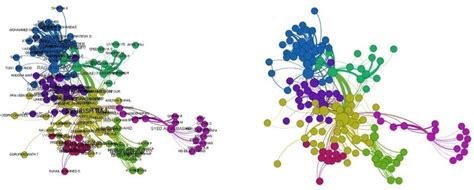 Yifan Hu Proportional Network Analysis Among Fmcg Shoppers In