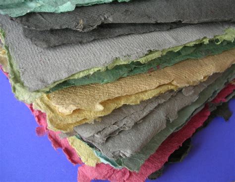 El proceso del papel o de cómo un árbol se vuelve papel ElBlogVerde