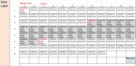 Tma054 Lung Cancer Pdx Tumor Microarray Slides Crown Bioscience