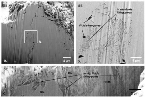 Sem Micrograph Se Of Fib Cross Section In Boom Clay Performed Under