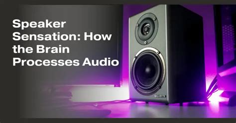 Speaker Sensation How The Brain Processes Audio All For Turntables