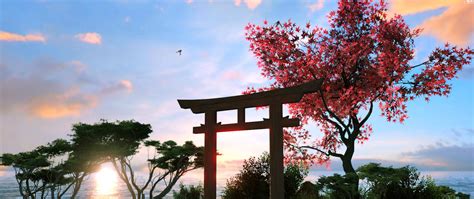 [100 ] Torii Gate Pictures
