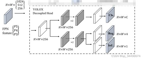Yolov5中head修改为decouple Head详解 张生荣