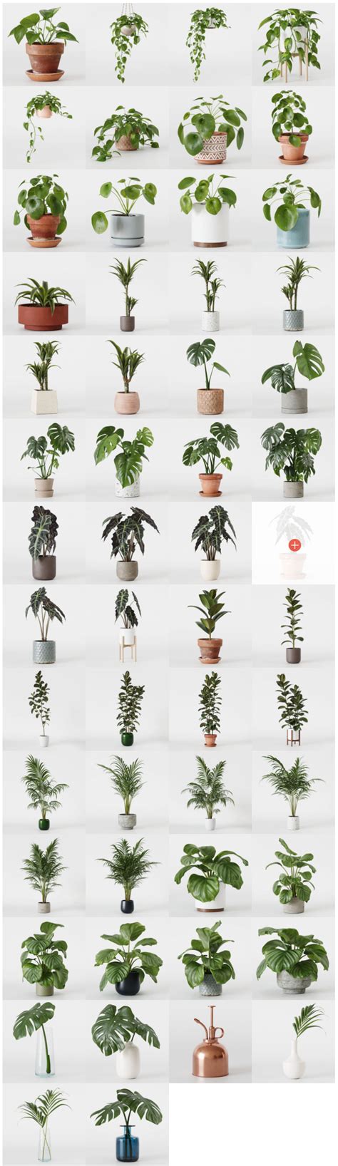 48个高质量室内盆栽植物3D模型 3DCollective Interior Plants Pack 013DS MAX OBJ格式