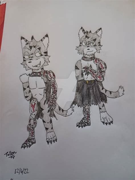 Tallon The Cat By Sora498 On Deviantart