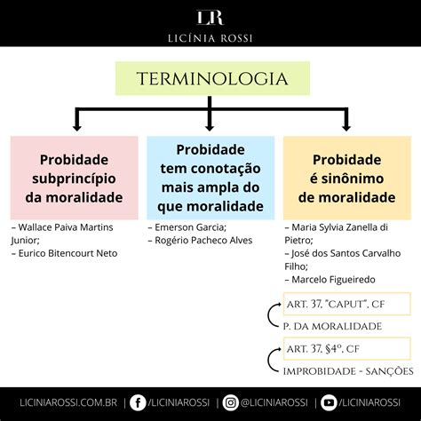 Improbidade Administrativa Terminologia Licínia Rossi