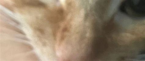 时间戳转带时区日期 知乎