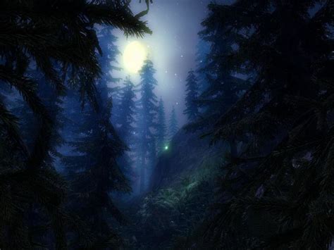 Лес ночью World Art Picture Forest Moon
